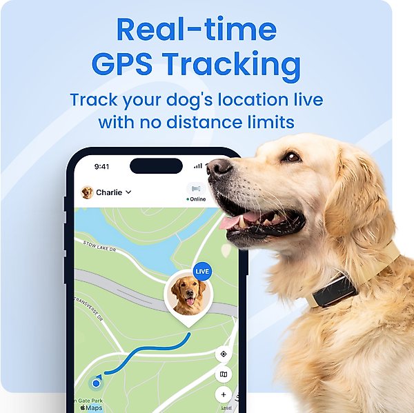 TRACTIVE Smart Dog GPS Tracker with Vital Signs Monitoring, Dog Collar Attachment, Brown - Chewy.com