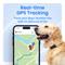 TRACTIVE Smart Dog GPS Tracker with Vital Signs Monitoring, Dog Collar ...