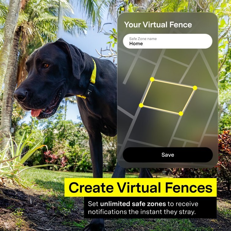 FI Series 3+ Smart Dog Collar, Yellow, Large - Chewy.com