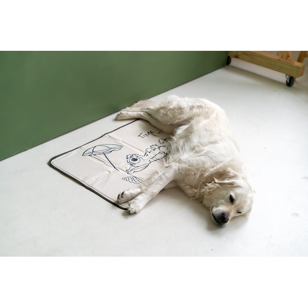 THE GREEN PET SHOP Cool Dog & Cat Crate Mat, Sage Gray, X-Small - Chewy.com