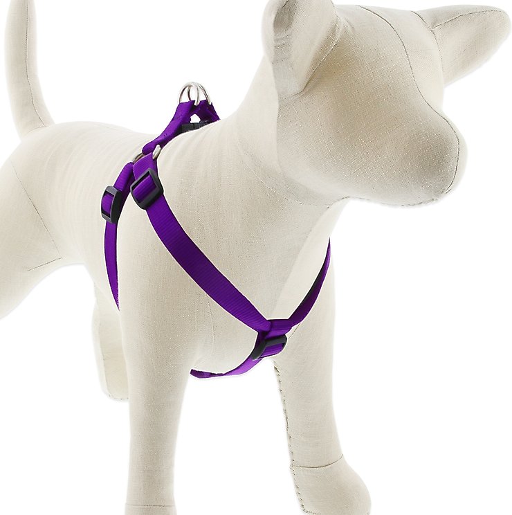 MEDIUM DOG HARNESSES (Free Shipping) | Chewy