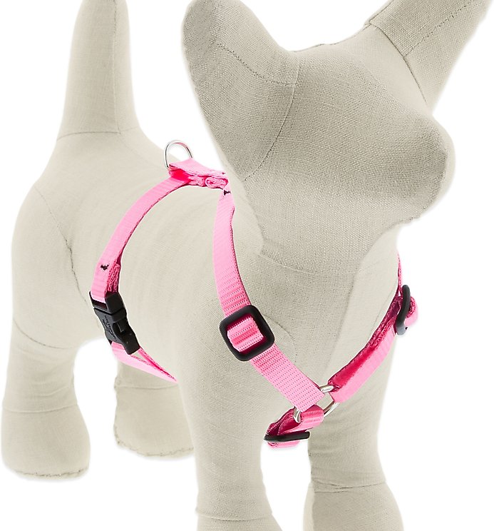 Puppy Harnesses – Lowest Prices | Chewy