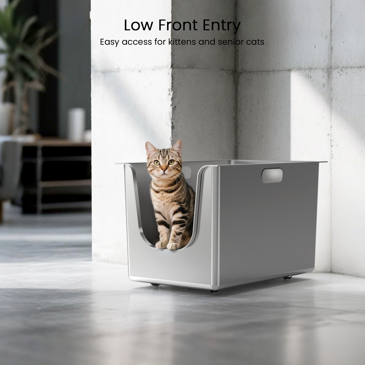 PTLOM Stainless Steel High Narrow Entry Sided Cat Litter Box, X-Large ...