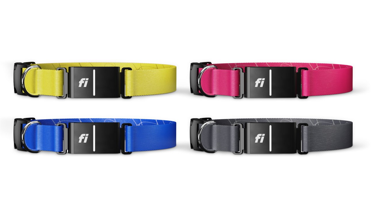 FI Series 3+ Smart Dog Collar, Yellow, Large - Chewy.com