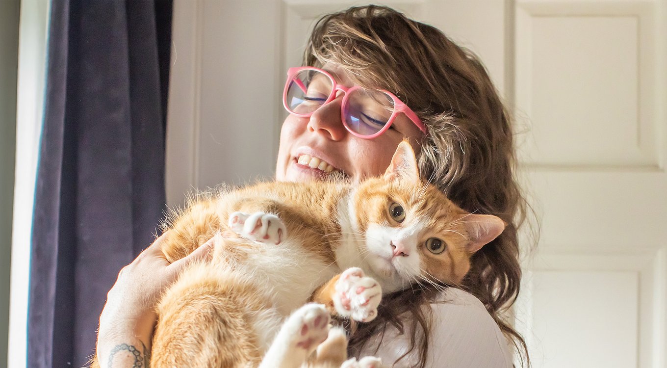 ACANA Salmon & Chicken + Lamb & Kidney Variety Pack Chunks in Broth Wet ...