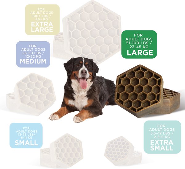 YUMMY COMBS Fish & Egg Large Dental Dog Treats, 12-oz bag, 9 count ...