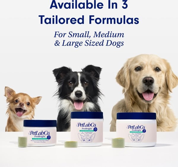 PETLAB CO. ProBright Dog Dental Powder for Large Dogs - Chewy.com