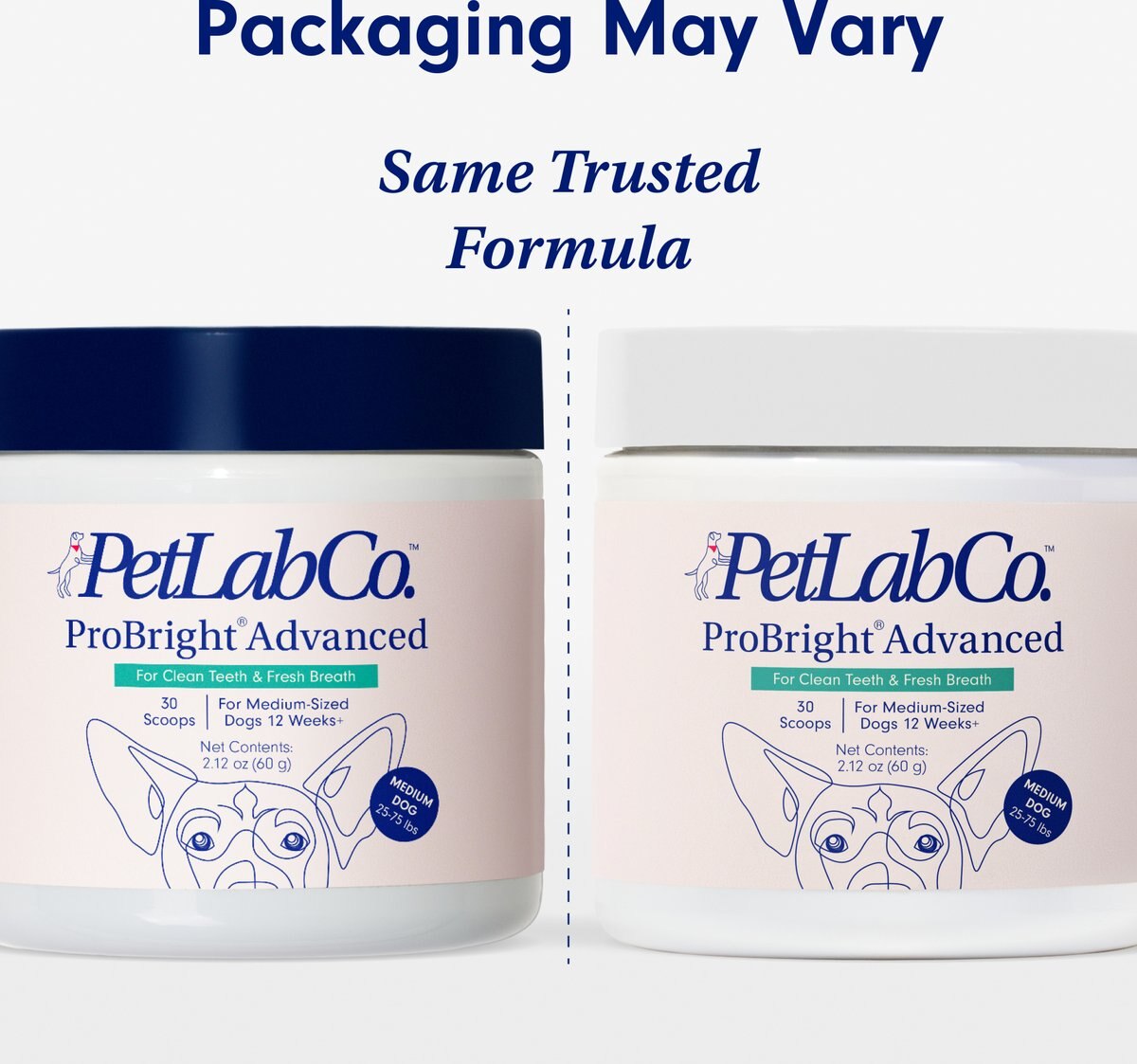 PETLAB CO. ProBright Advanced Chicken Flavored Powder Dental Supplement ...