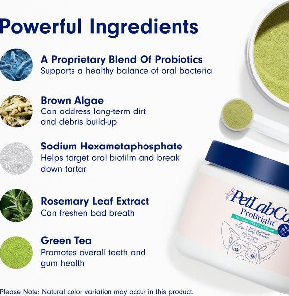 PETLAB CO. ProBright Dog Dental Powder for Large Dogs - Chewy.com