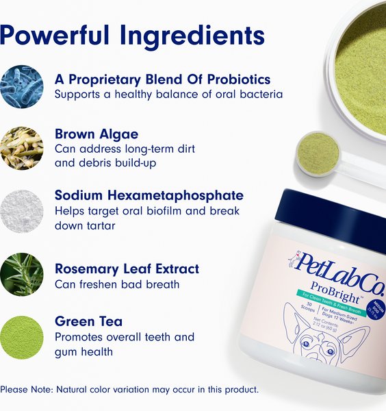 PETLAB CO. ProBright Dog Dental Powder for Medium Dogs - Chewy.com