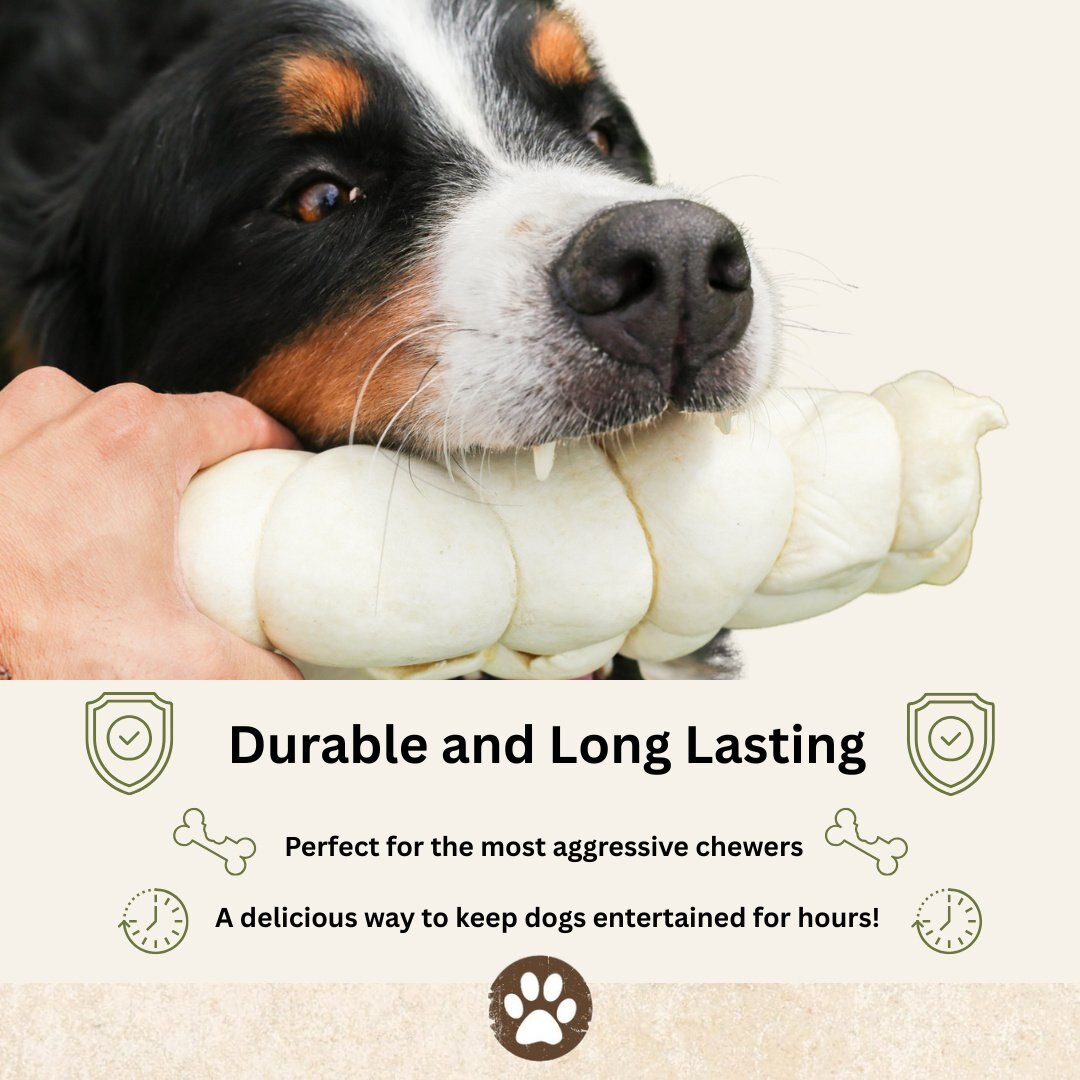 Top Dog Chews Buffalo Beef Cheek Rolls Dog Treat, 5 count | Chewy (Free ...