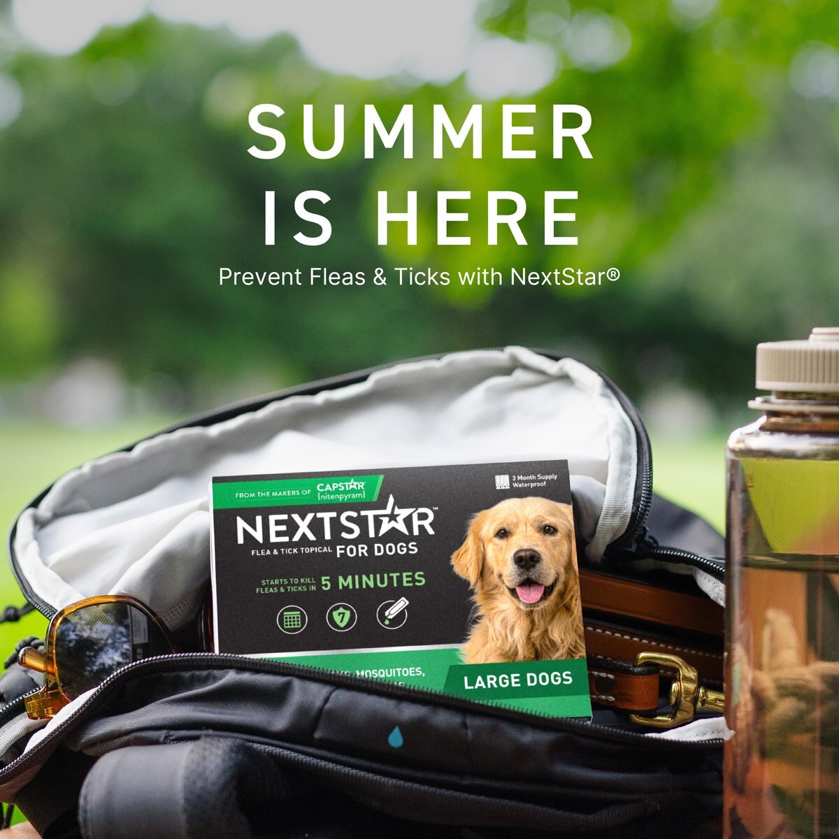 NEXTSTAR Flea & Tick Topical Treatment for Large Dogs, 45-88 lbs, 9 ...