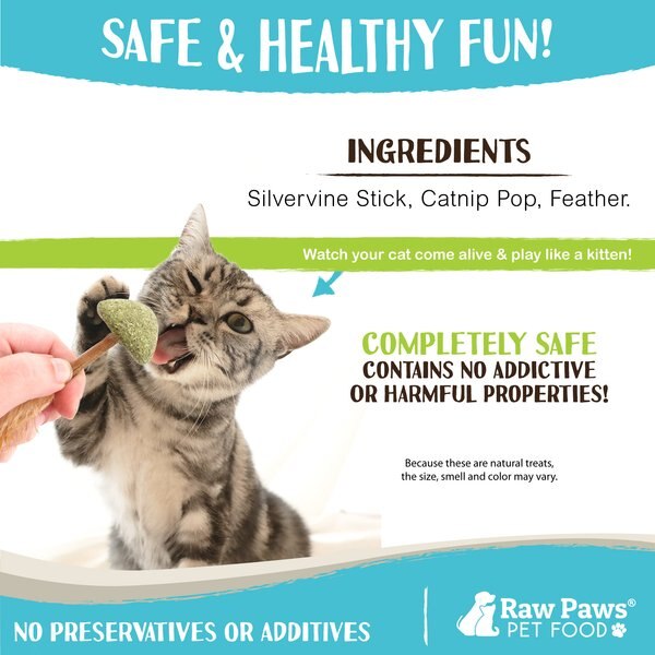RAW PAWS Catnip & Silvervine Lollipops with Feather Interactive Cat Toy ...