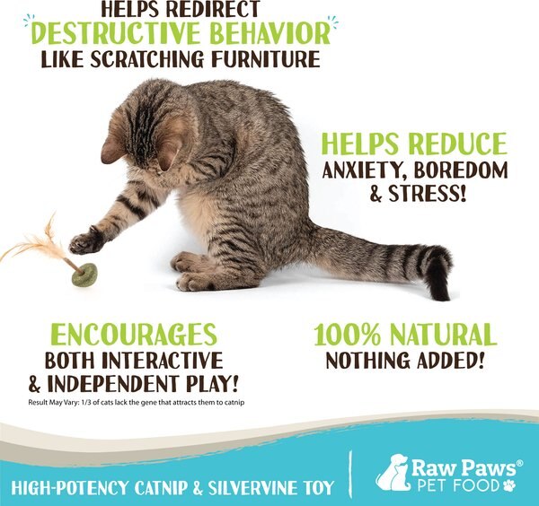 RAW PAWS Catnip & Silvervine Lollipops with Feather Interactive Cat Toy ...