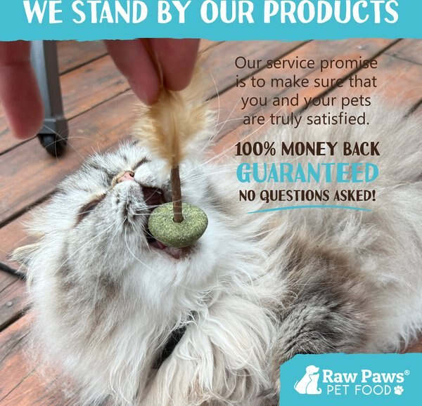 RAW PAWS Catnip & Silvervine Lollipops with Feather Interactive Cat Toy ...