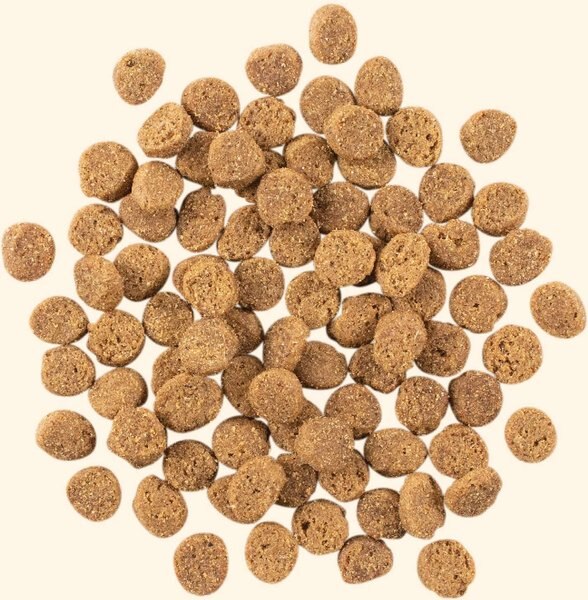 GATHER Free Acres Organic Free-Run Chicken Dry Dog Food, 6-lb bag ...
