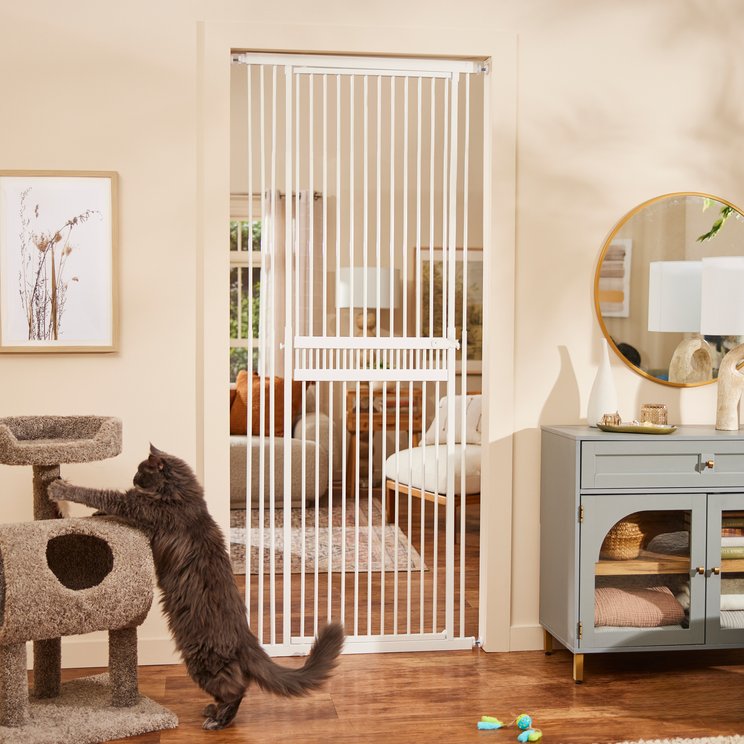Cat Cages & Pens: Cat Crates & Gates (Free Shipping) | Chewy