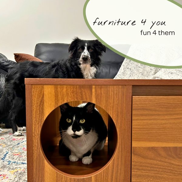 4 CATS & DOGS Coco Coffee Table Cat House, Walnut - Chewy.com