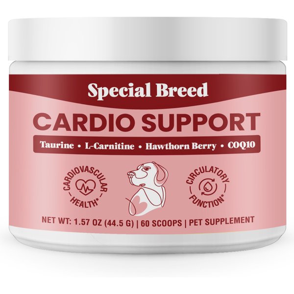 ANIMAL ESSENTIALS Heart Health Cardiovascular Support Dog & Cat ...