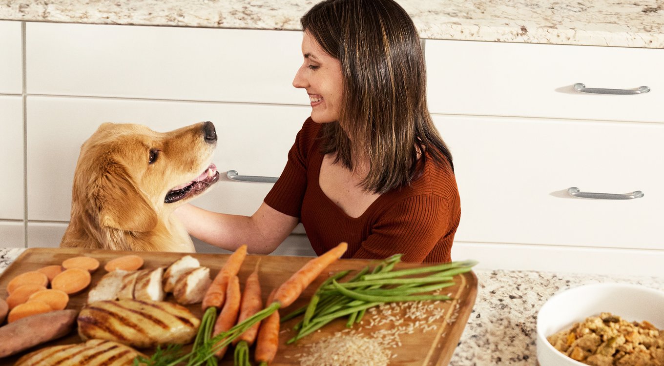 MERRICK Fresh Selects Frozen Beef & Brown Rice Dog Food, 18-oz pouch ...