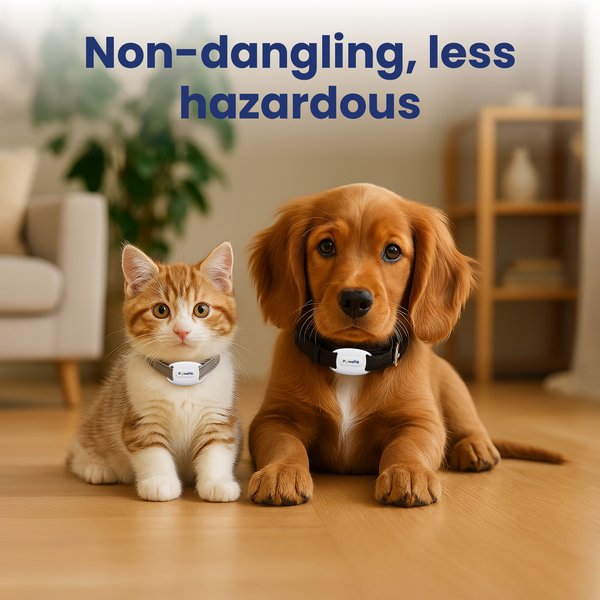 PAWSPIK RFID Microchip Tag for PawsPik Automatic Microchip RFID Dog ...