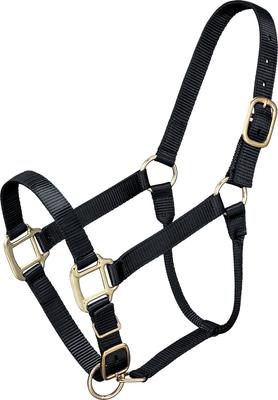 TOUGH1 Premium Horse Halter, Black, Yearling - Chewy.com