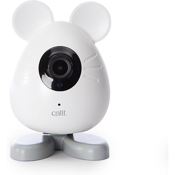 RING Indoor Cam Pet Camera, White - Chewy.com