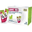CATNEY ONE Kidney Powder Supplement for Cats, 30 count - Chewy.com