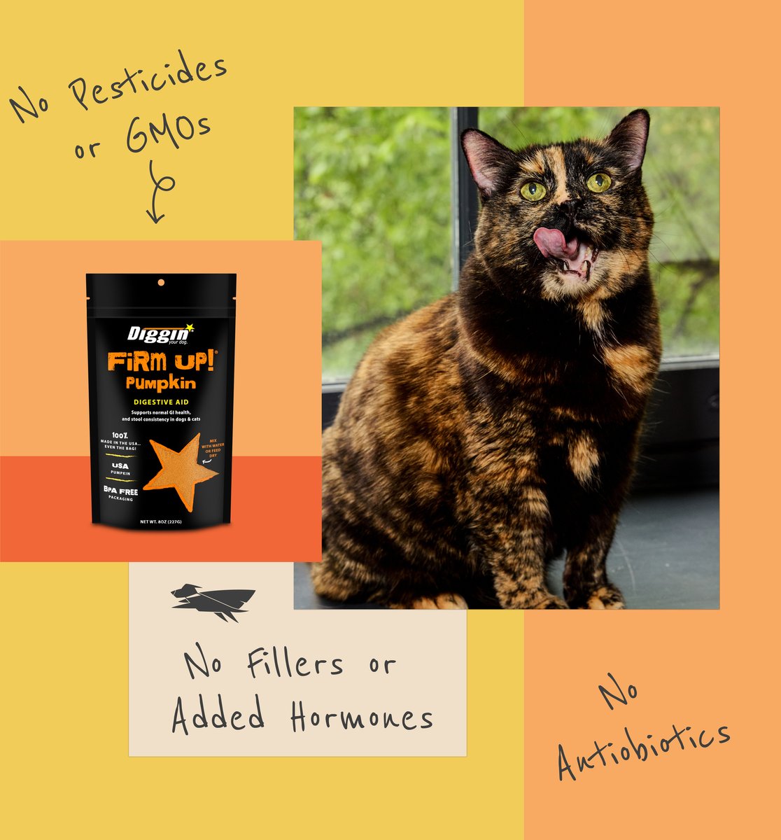 DIGGIN' YOUR DOG Firm Up! Pumpkin Digestive Aid Powder Supplement for ...