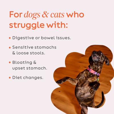 Out of Stock - DIGGIN' YOUR DOG Firm Up! Pumpkin Digestive Aid Powder ...