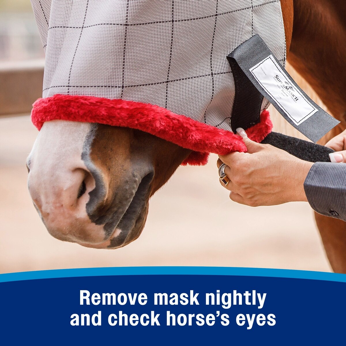 FARNAM SuperMask II Horse Fly Mask with Covered Ears, Assorted, Small ...