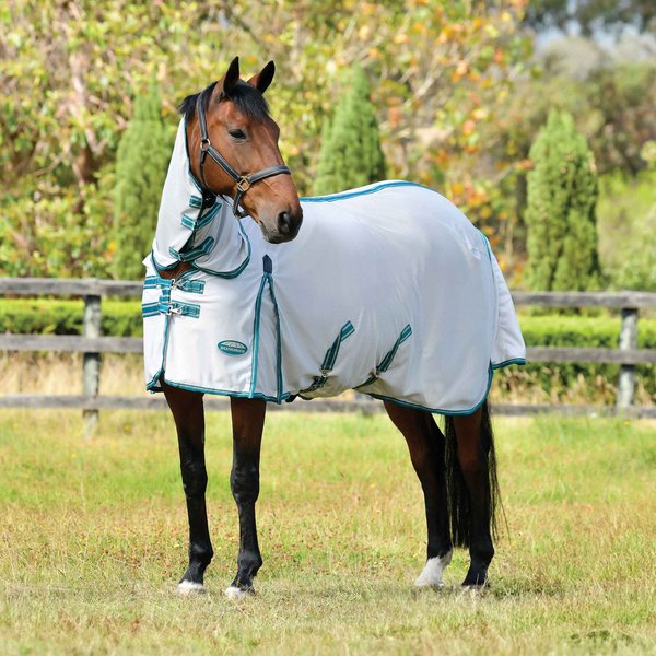 WEATHERBEETA Comfitec Zephyr Plus Mesh Combo Neck Horse Fly Sheet ...