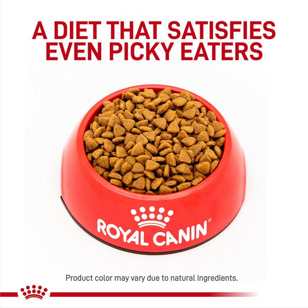 ROYAL CANIN VETERINARY DIET Selected Protein Pea & Rabbit Formula Adult ...