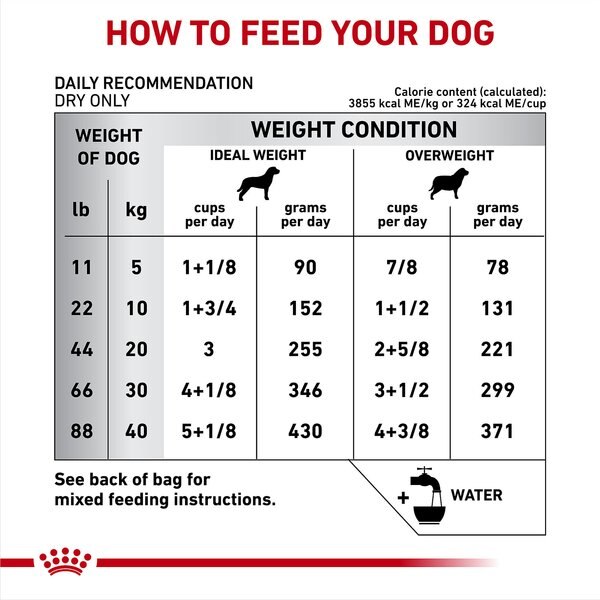 ROYAL CANIN VETERINARY DIET Adult Hydrolyzed Protein HP Dry Dog Food, 7 ...