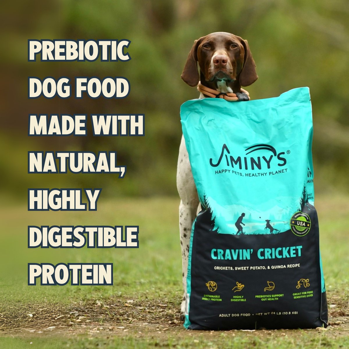 JIMINY'S Cravin' Cricket Sensitive Stomach Dry Dog Food, 3.5-lb bag ...