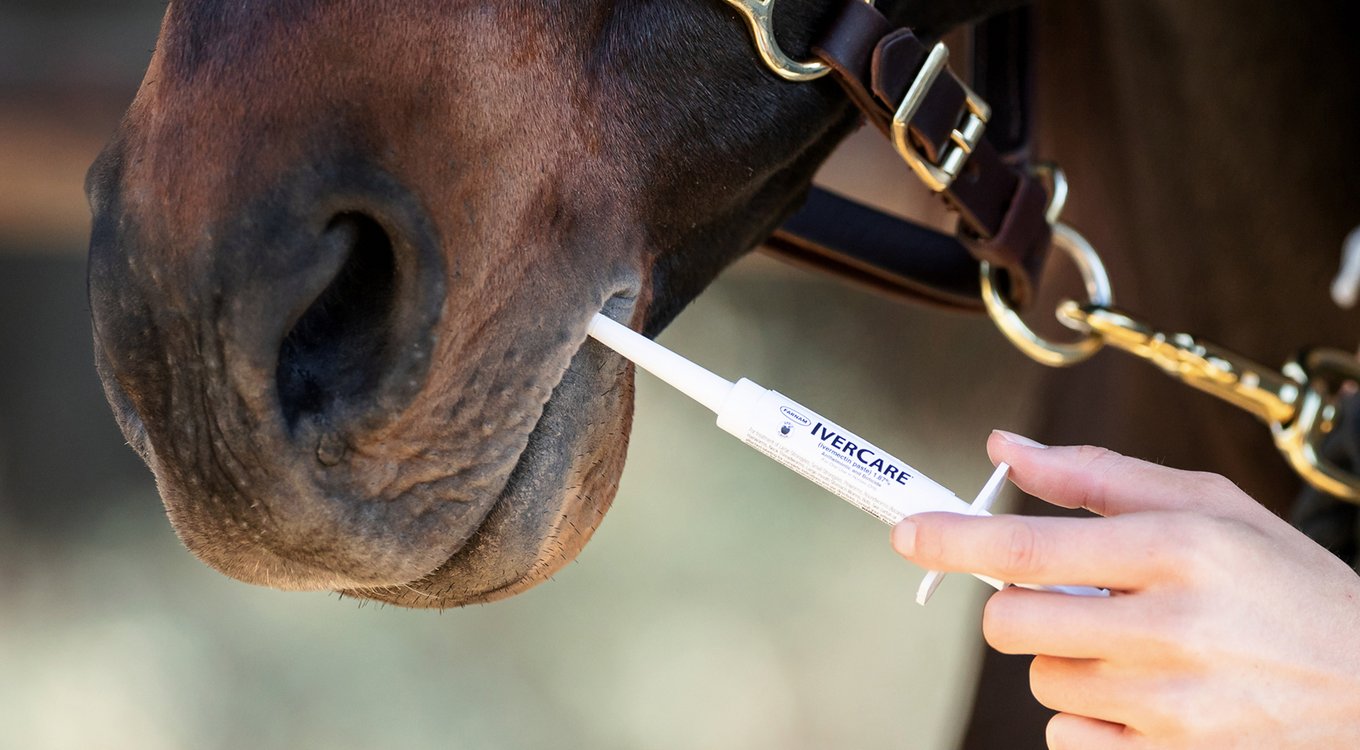 New Version Available - FARNAM Ivercare Ivermectin 1.87% Paste Horse ...