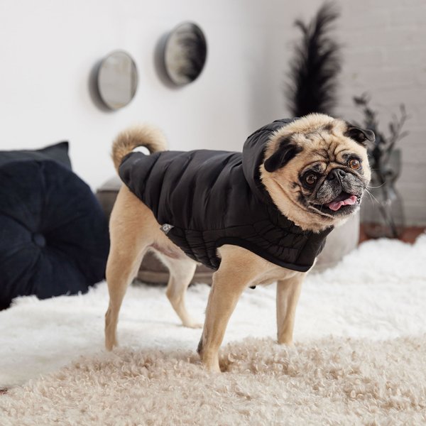 GF PET Cloud Dog Parka, Black, Small - Chewy.com