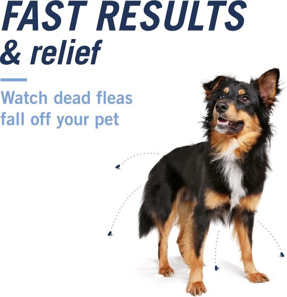 PETARMOR CapAction Oral Flea Treatment for Dogs 2-25lbs, 12 doses ...