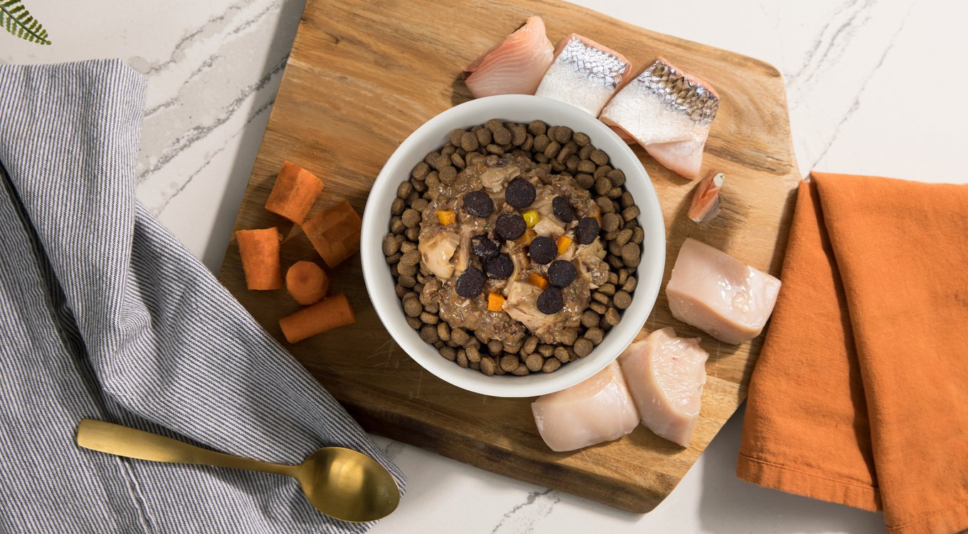 SOLID GOLD High Protein Wild Alaskan Pollock & Eggs Recipe Grain-Free ...