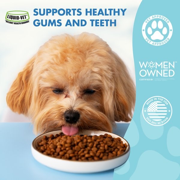 LIQUID-VET Teeth & Gums Support Bacon Flavor Dog Supplement, 8-oz ...
