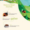 GATHER Endless Valley Vegan Dry Dog Food, 16-lb bag - Chewy.com