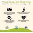 GATHER Endless Valley Vegan Dry Dog Food, 16-lb bag - Chewy.com