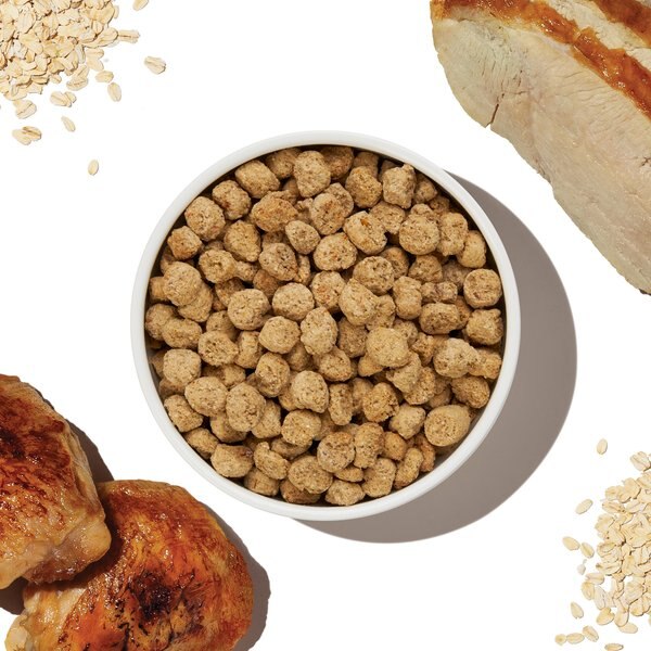 THE HONEST KITCHEN Essential Clusters Whole Grain Beef & Chicken Dry ...