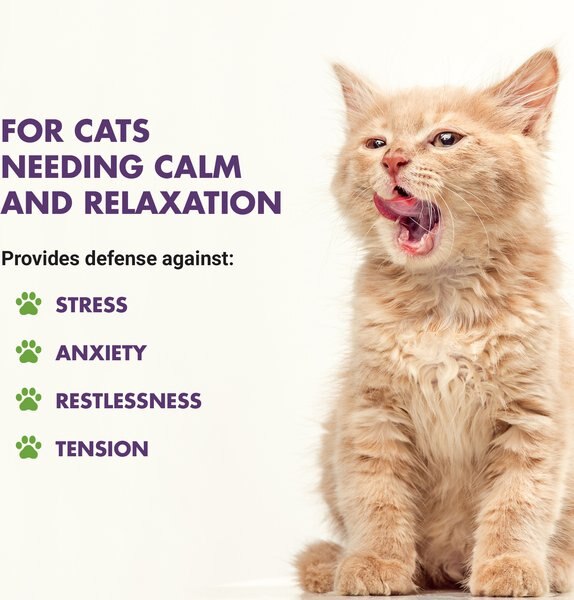 LIQUID-VET Calm & Content Support Unflavored Liquid Calming Supplement ...