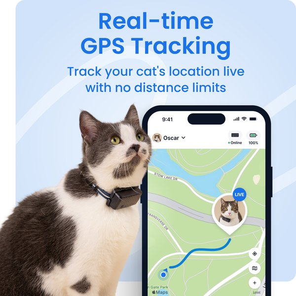 TRACTIVE Smart Cat GPS Tracker with Wellness Monitoring & Breakaway ...