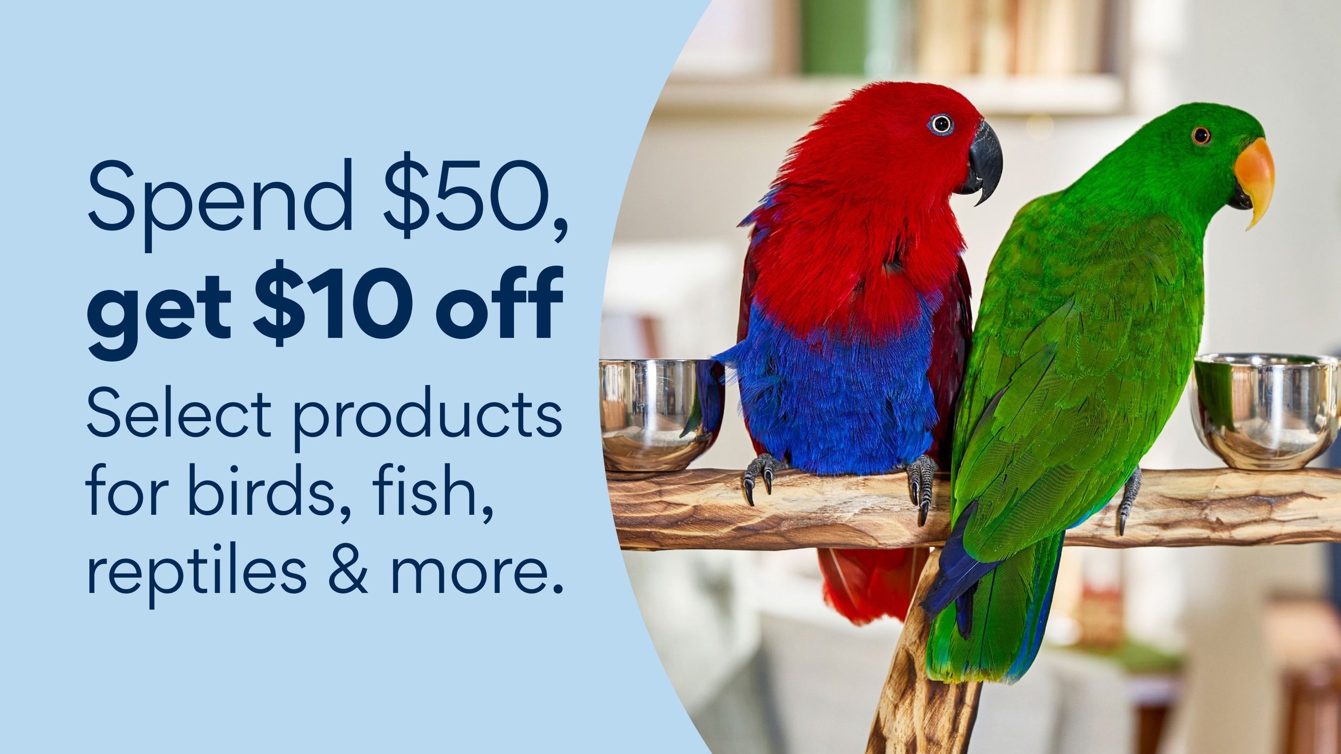 Today's Deals: Chewy Promo Codes, Discounts & Coupons | Chewy