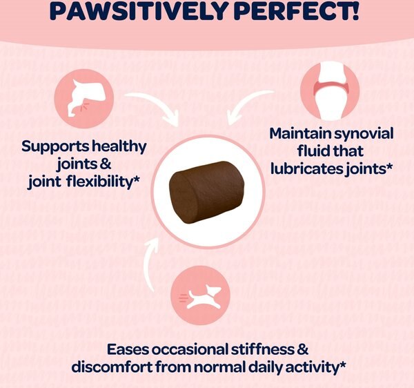 READY PET GO Joint & Hip Dog Supplement, 60 count - Chewy.com