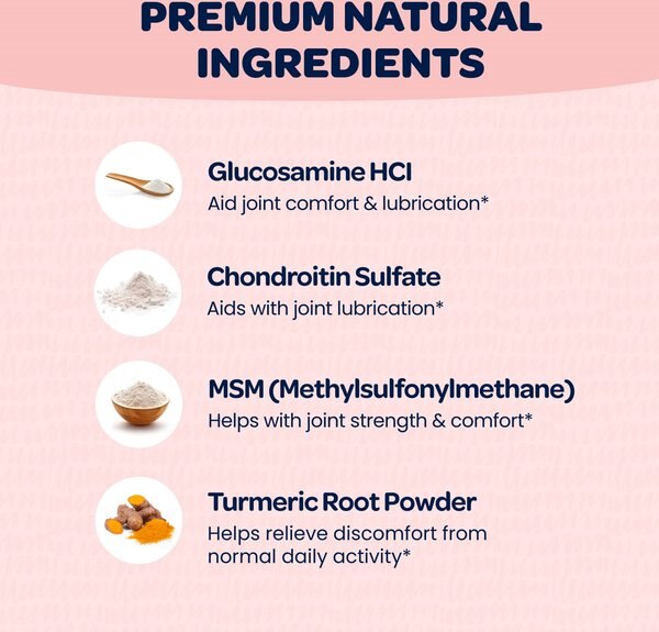 READY PET GO Joint & Hip Dog Supplement, 60 count - Chewy.com