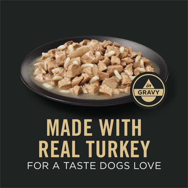 PURINA PRO PLAN Sensitive Systems Turkey & Oat Meal in Gravy Wet Dog ...