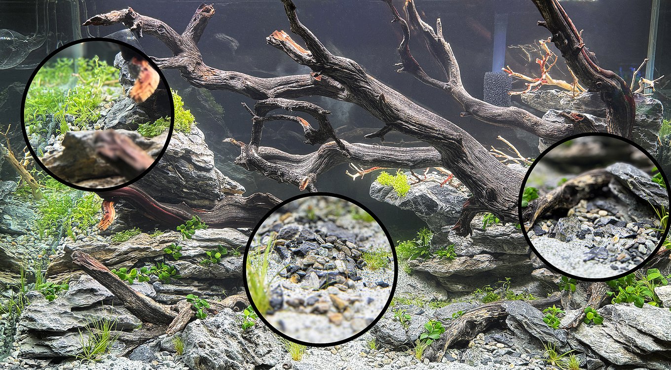 AQUA NATURAL Delta Sand Aquarium Gravel, 10-lb bag - Chewy.com